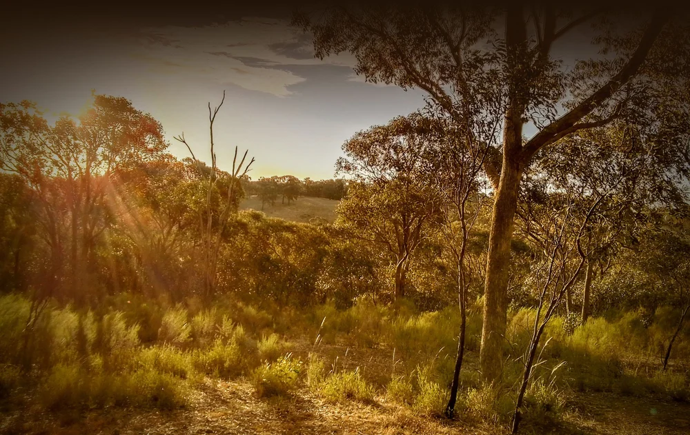Nigrodharama Forest Monastery