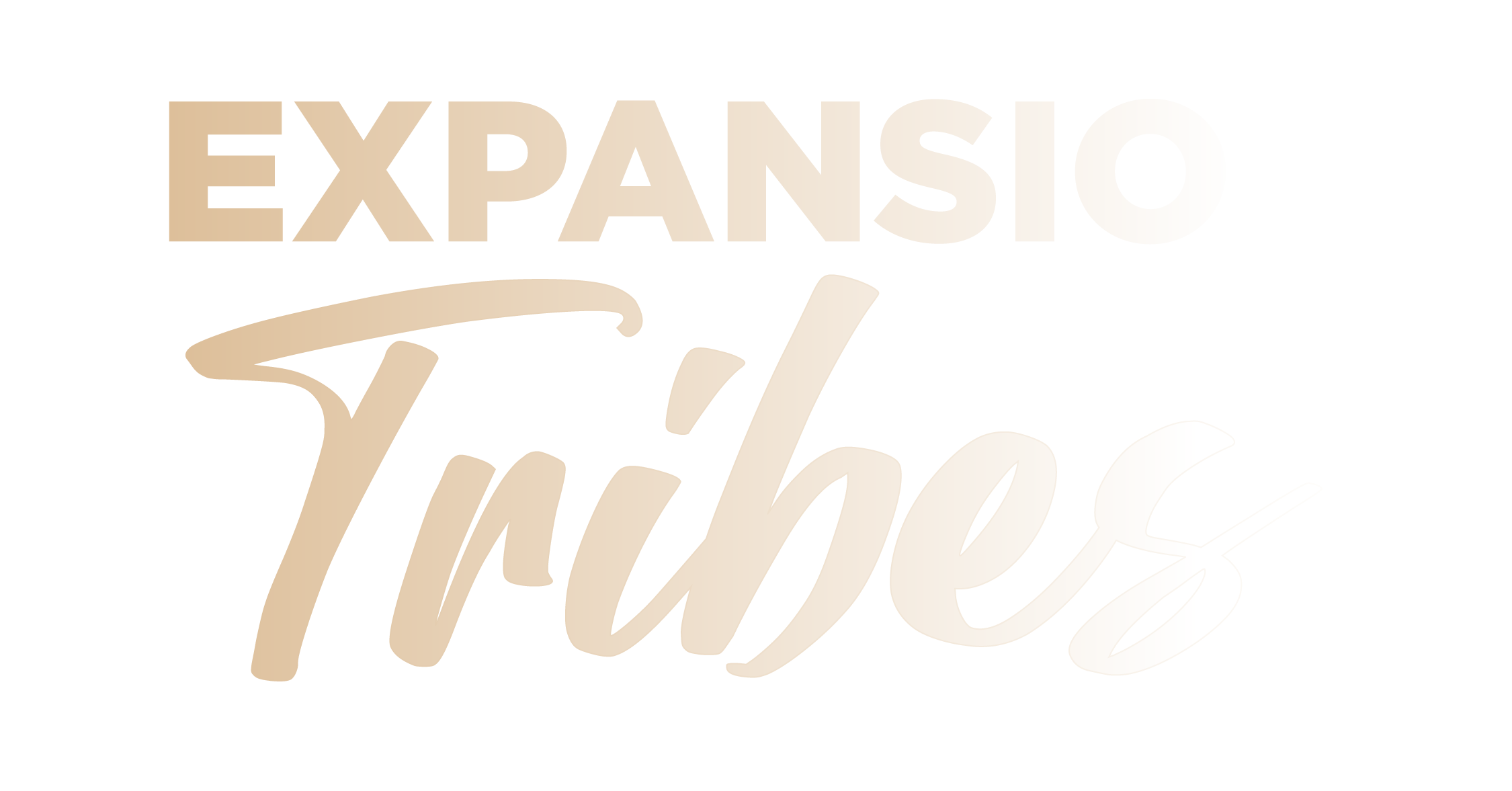 Join a Tribe — Expansion Church