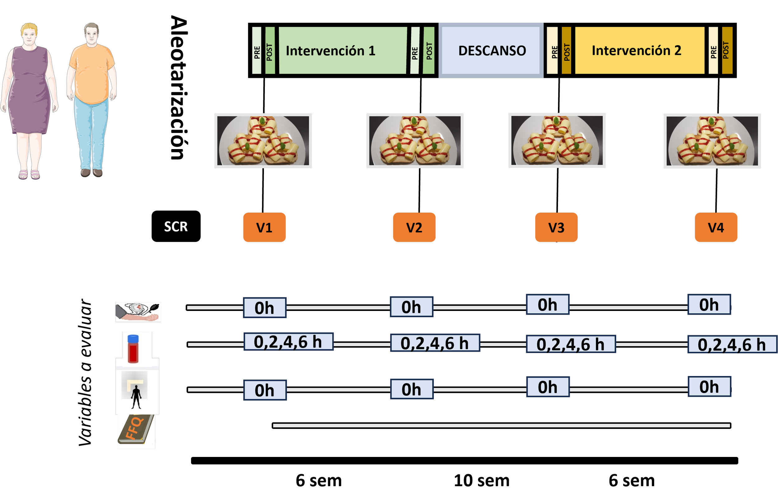 Diseño del Estudio — RIO-Study /info@rio-study.com