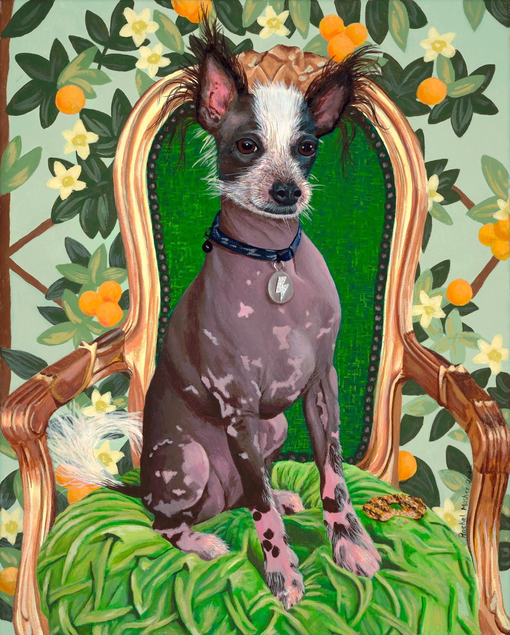 Rex — Rachel Mosher Art