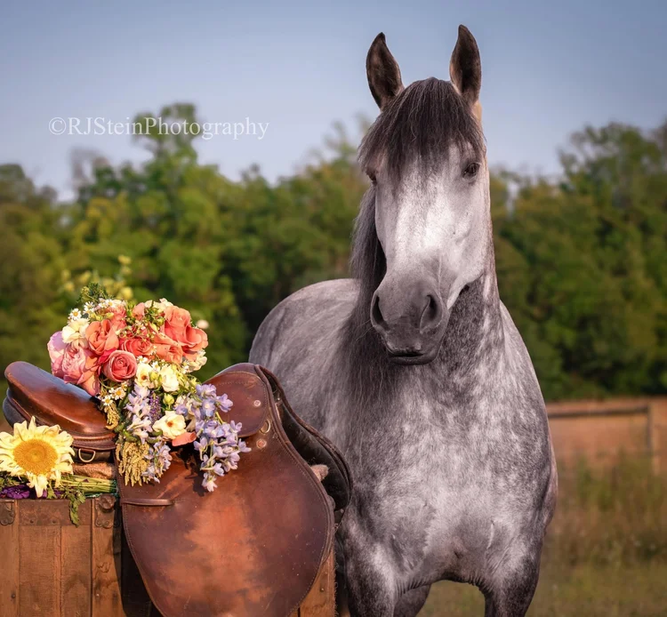 Erie, PA Florist | Weddings | Corporate Events | Funerals — Mary Mae ...