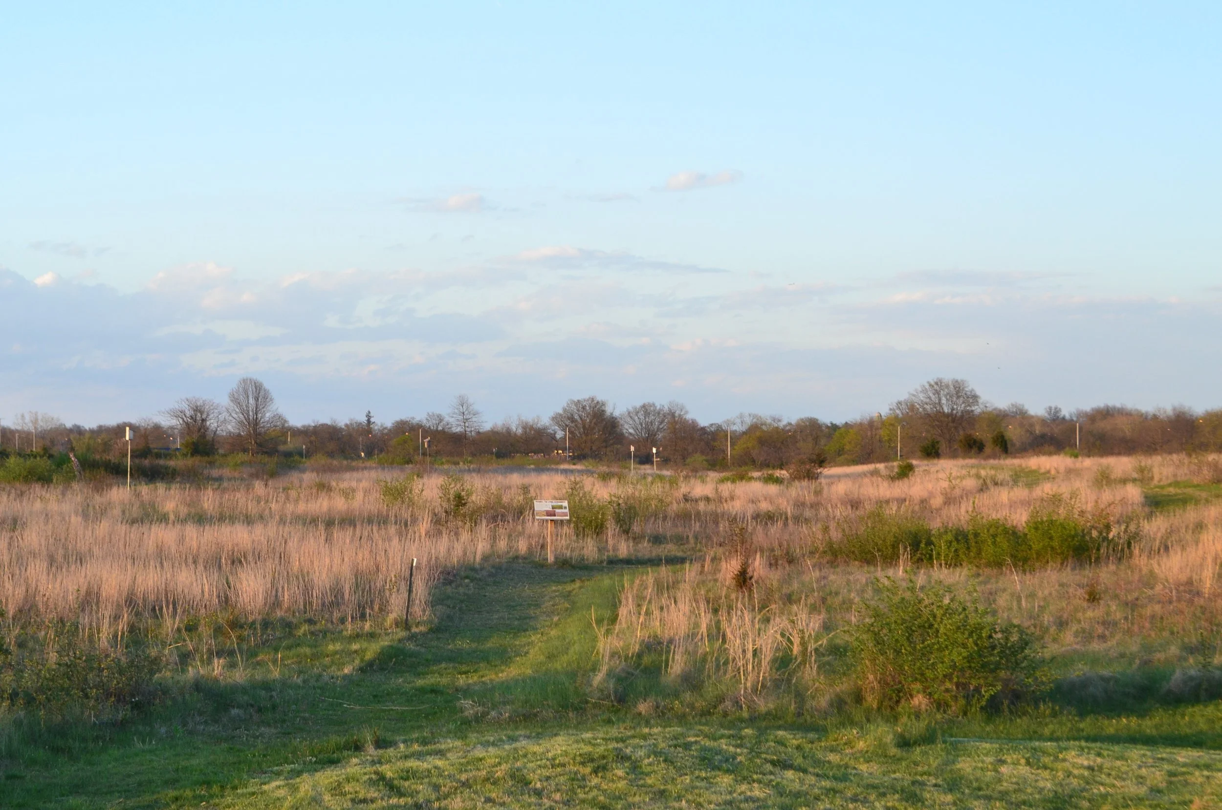 Visit Hempstead Plains Preserve — Friends of Hempstead Plains