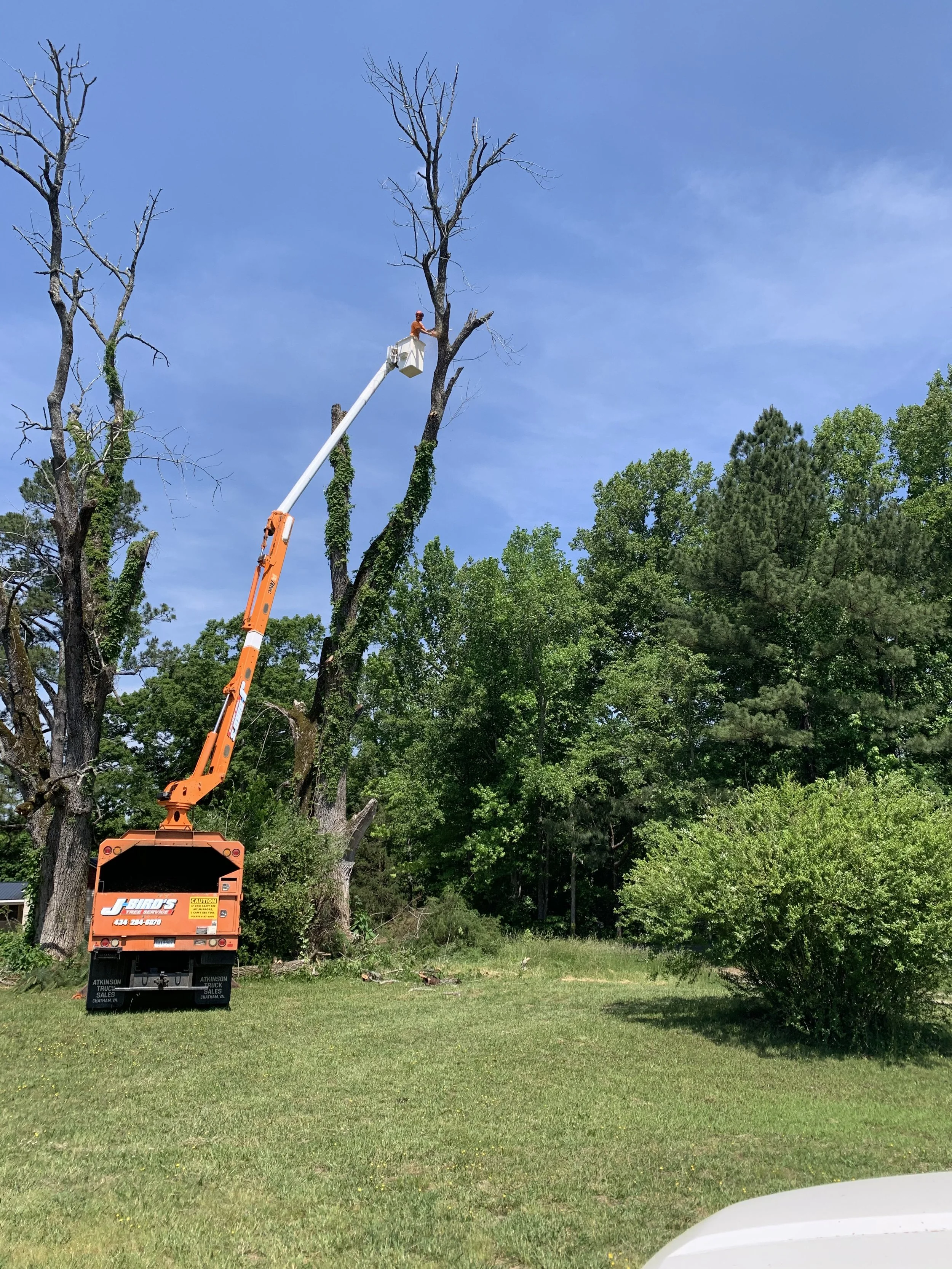 J-Bird's Tree Service | 24/7 Emergency Tree Services