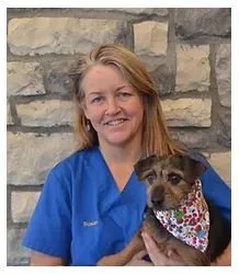 Team 1 — Brighton Animal Clinic