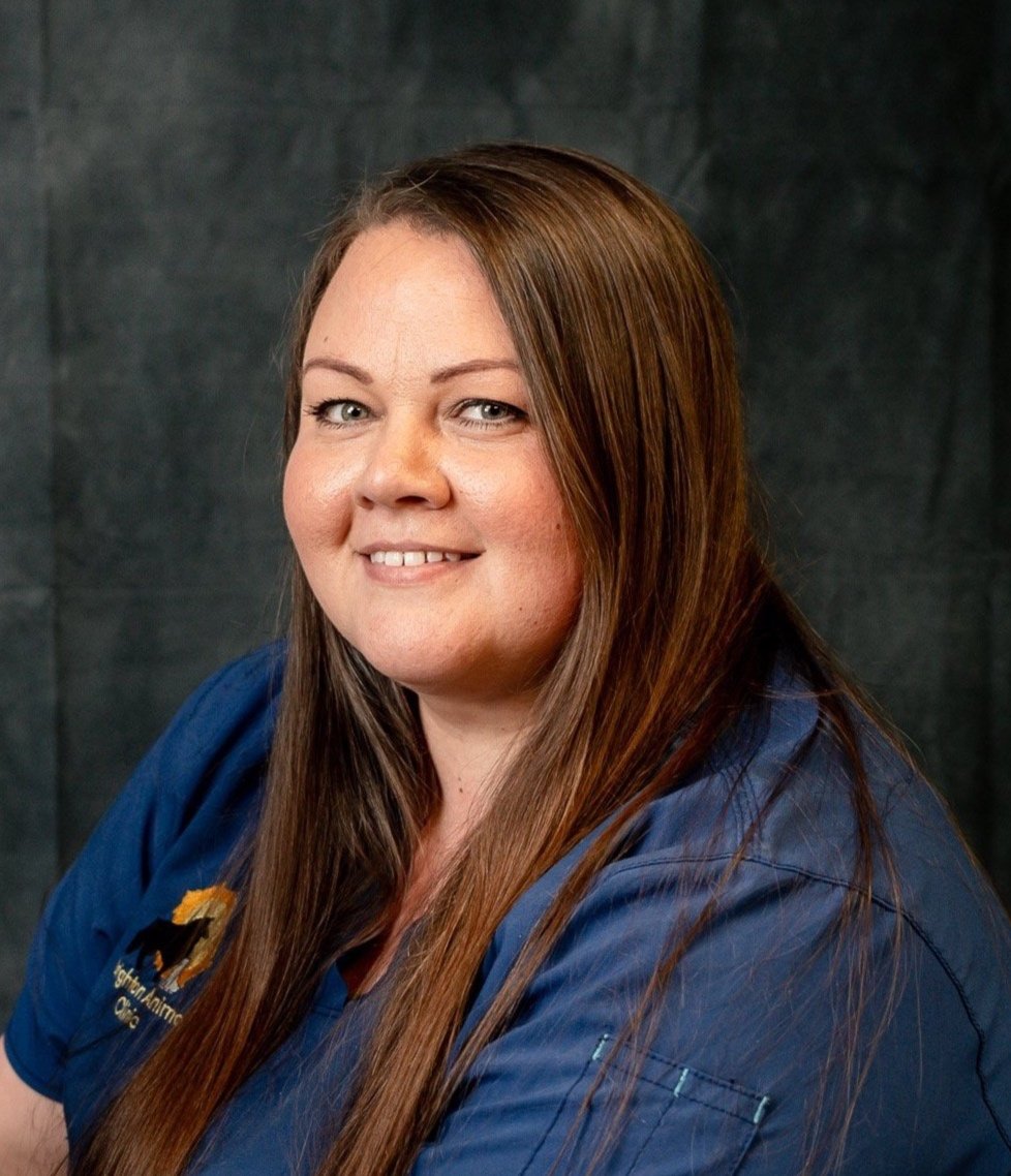 Team 1 — Brighton Animal Clinic