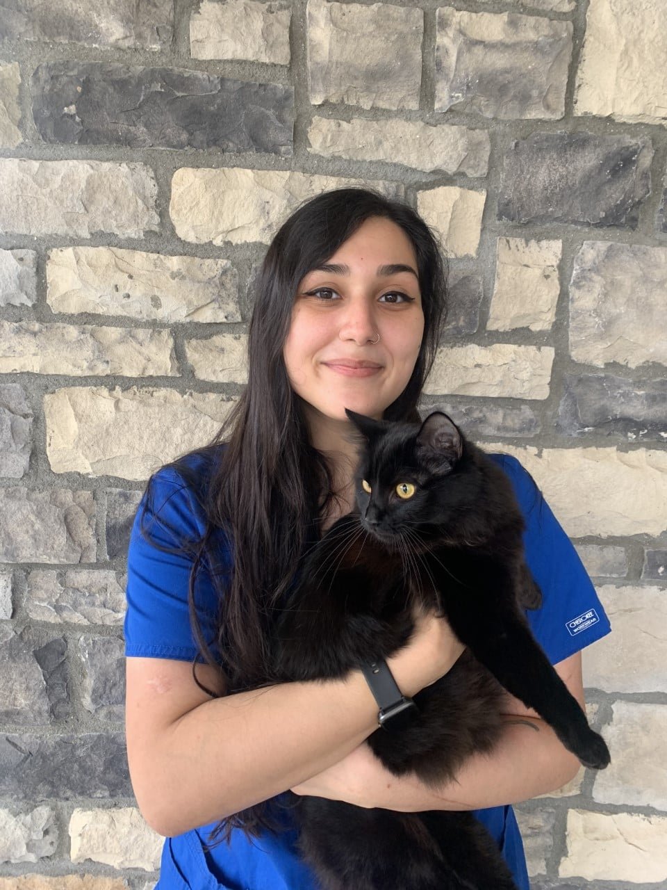 Team 1 — Brighton Animal Clinic