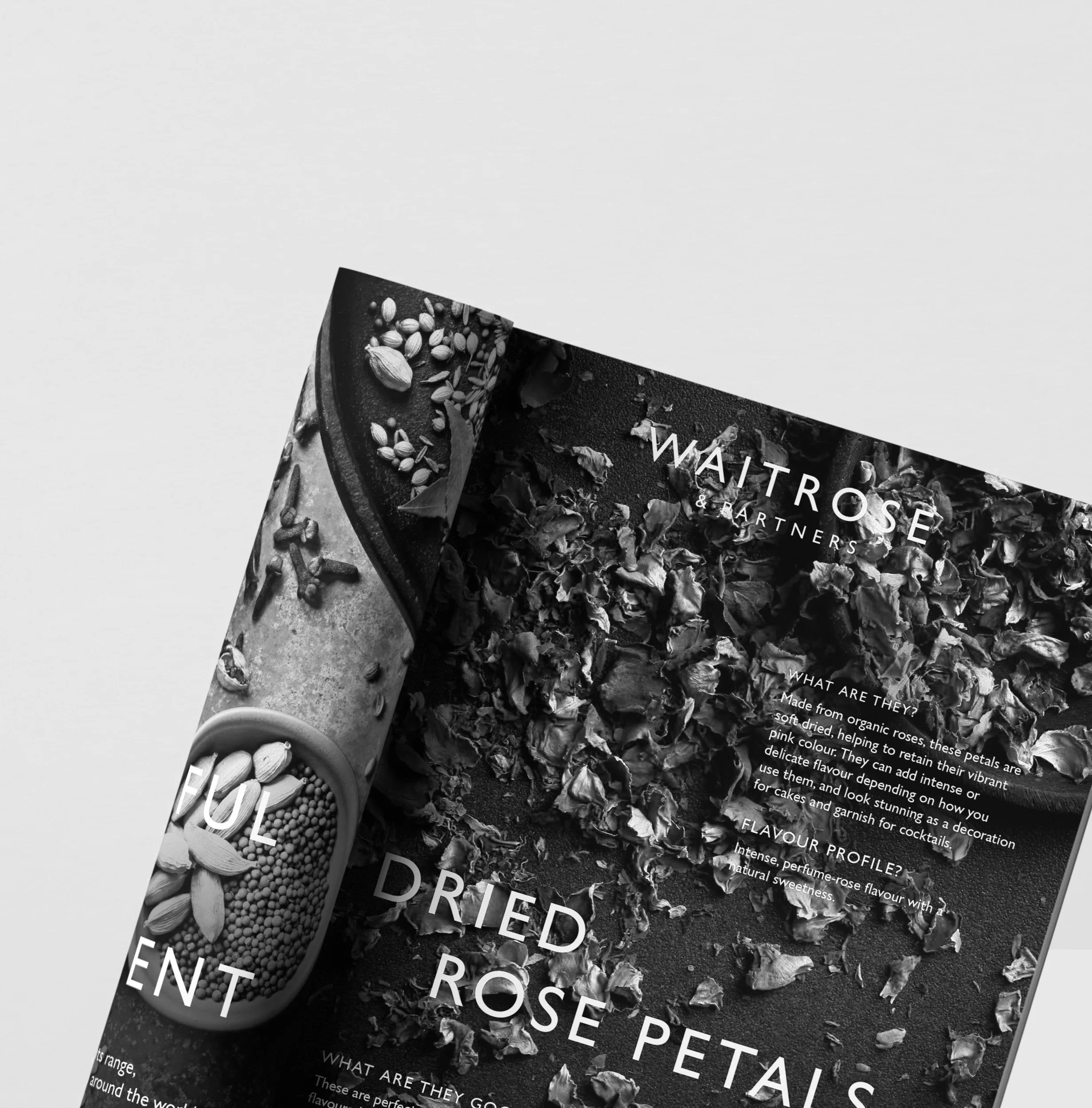 DOIA Creative Studio