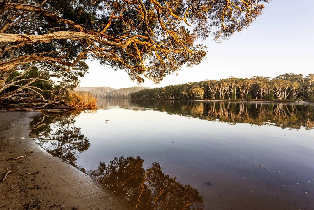 Avoca Beach Community Association