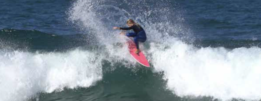 Talia Tebb - Progress Report — Avoca Beach Community Association