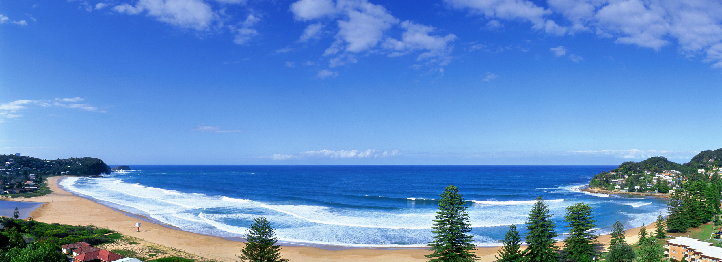 Avoca Beach Community Association