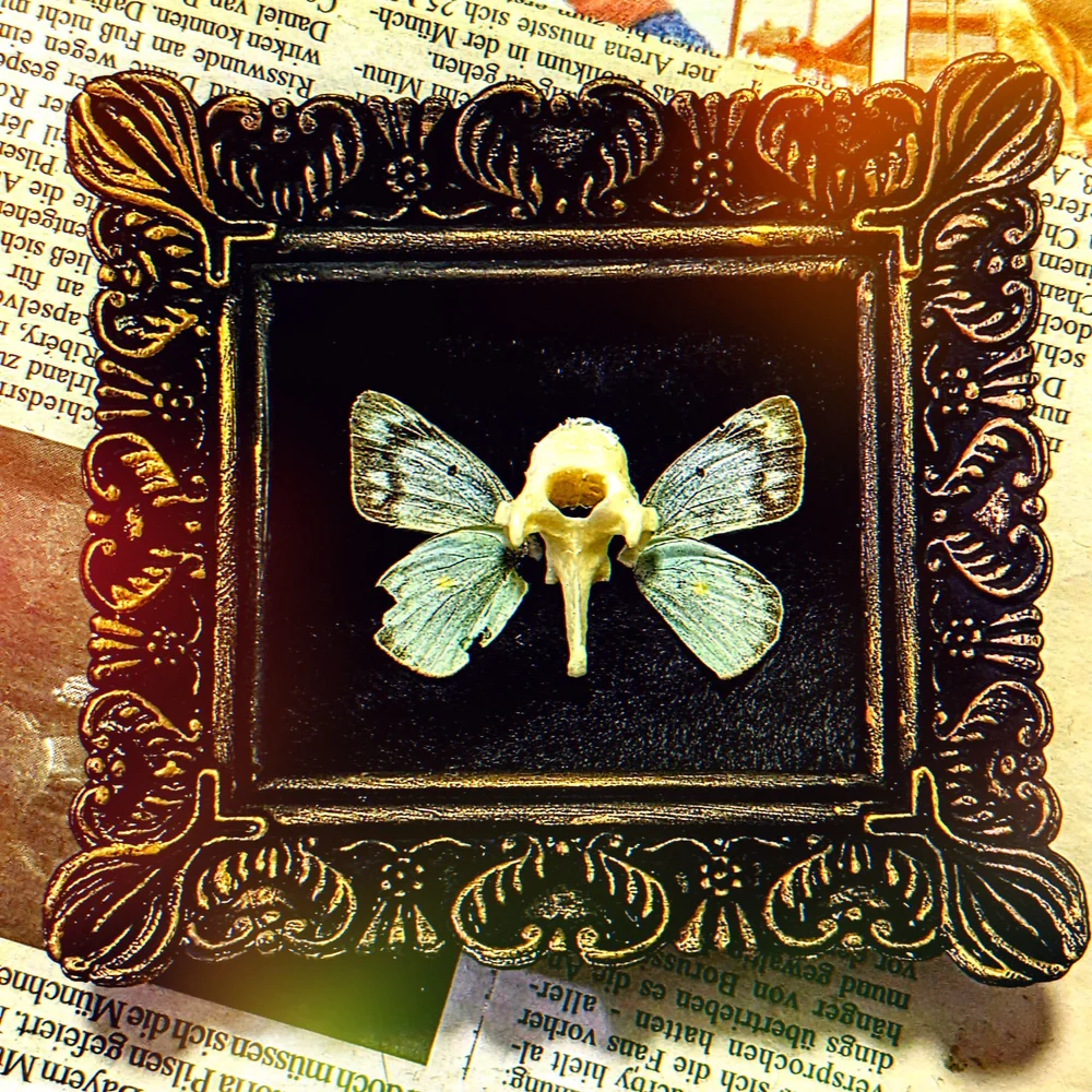 Beautifully Strange : Curious Oddities, Jewelry, and Tarot Sessions