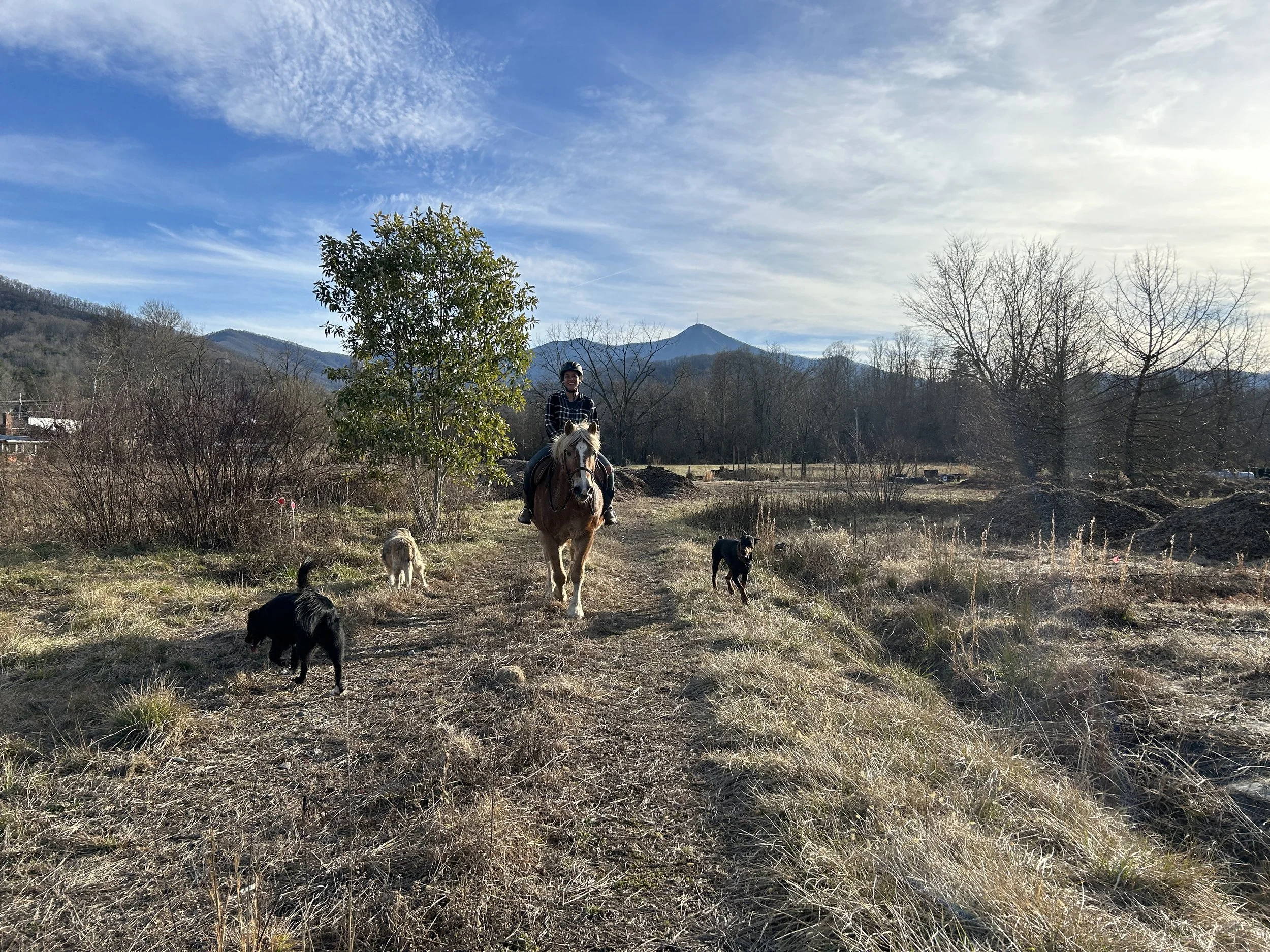 Ruby Ranch in Asheville, NC