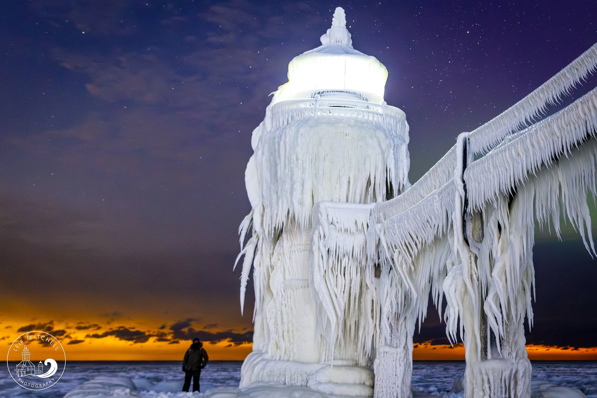 The Lone Watcher — Leif Mitchell Photography