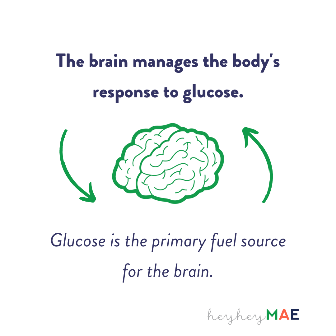 Blood Sugar Refers To Glucose That Is Circulating Through The Blood Sugar Refers To Glucose That Is Circulating Through The