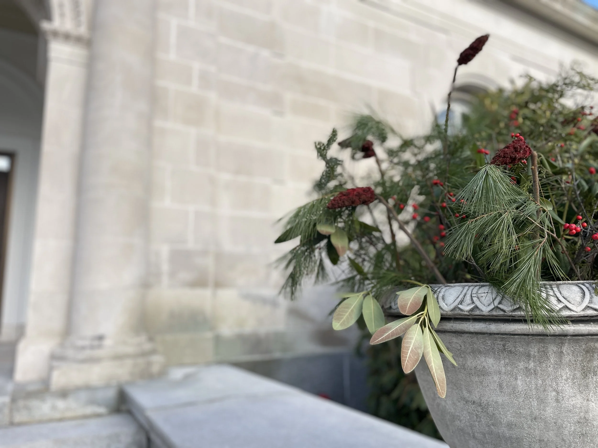 Blog 2 — Ayer Library