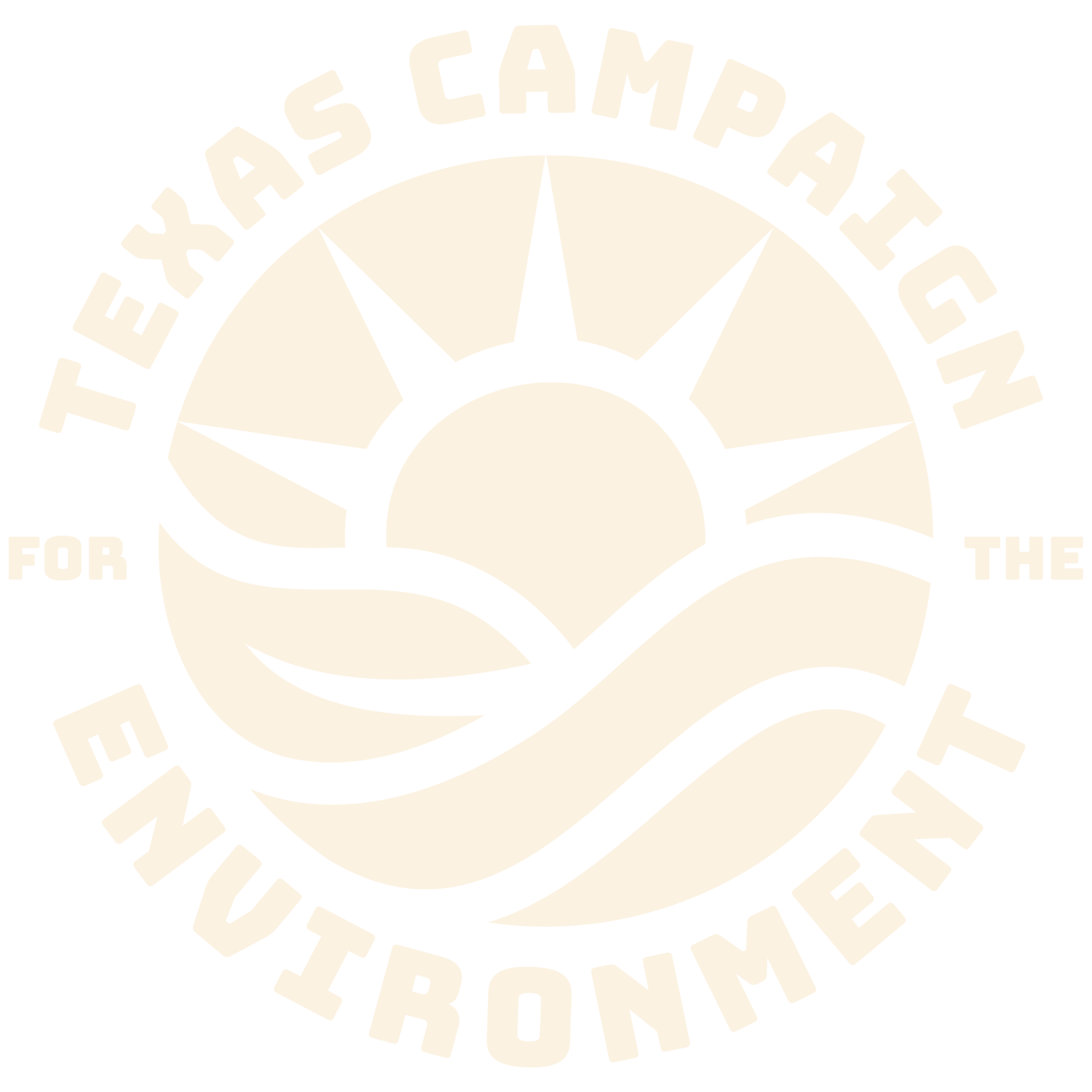 Texas Campaign For The Environment