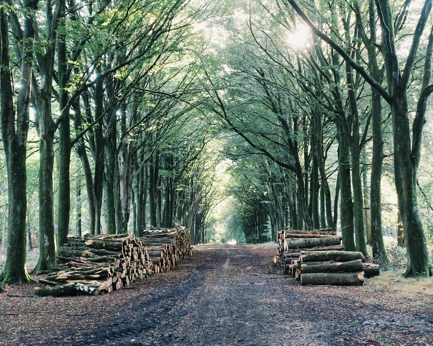 The Old Chalk Way