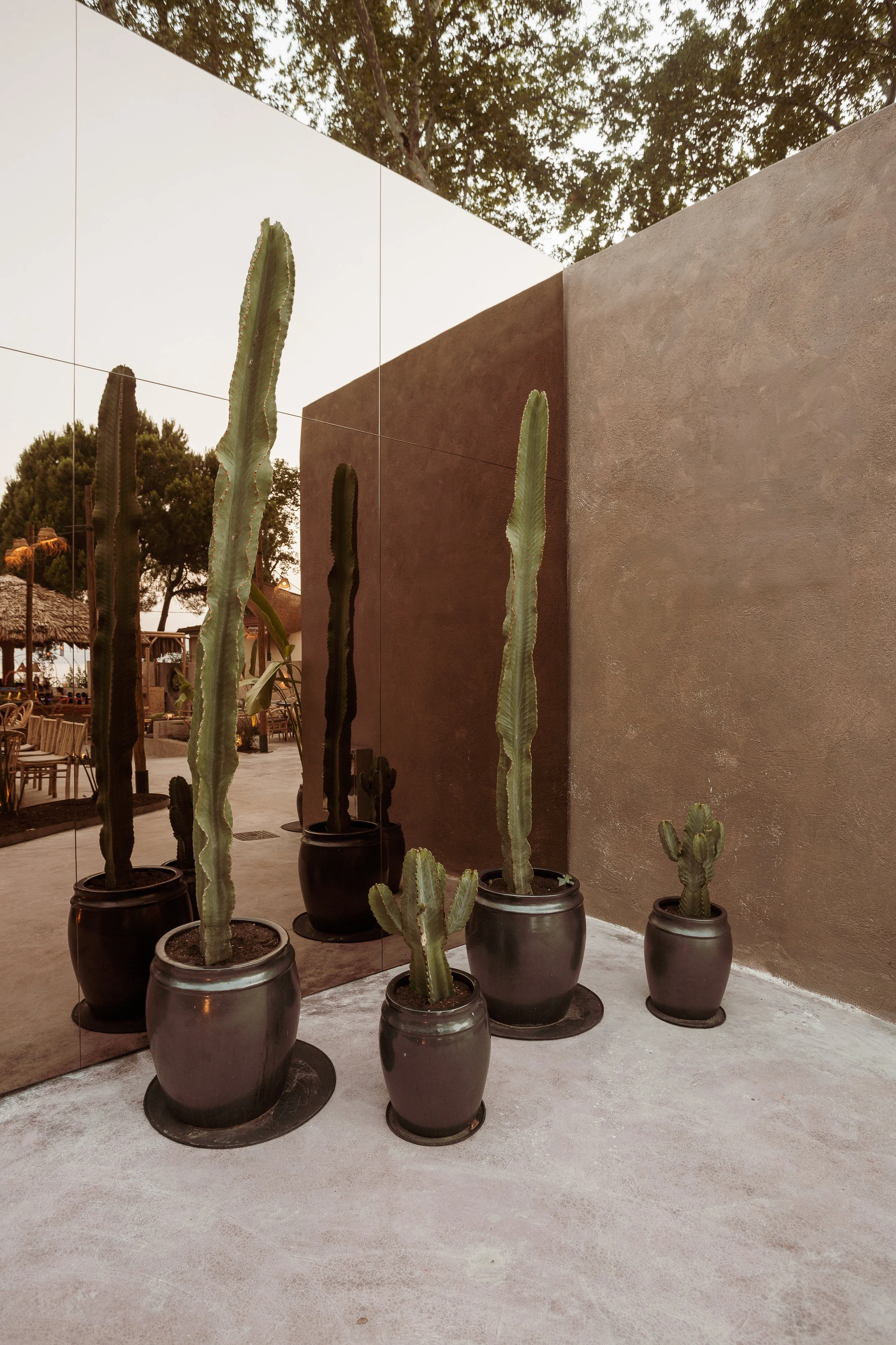 Catano bar-restaurant — dashing architects