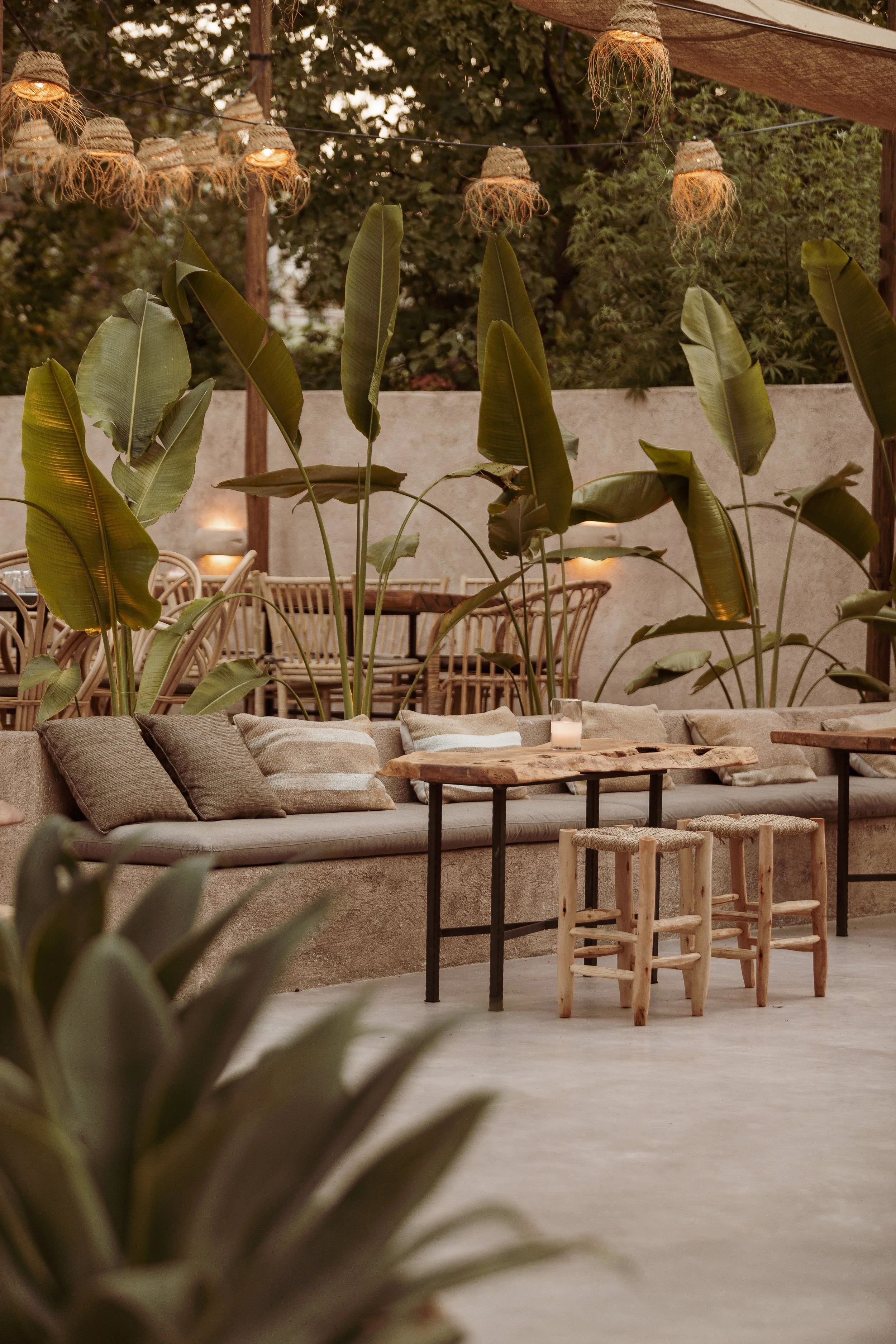 Catano bar-restaurant — dashing architects