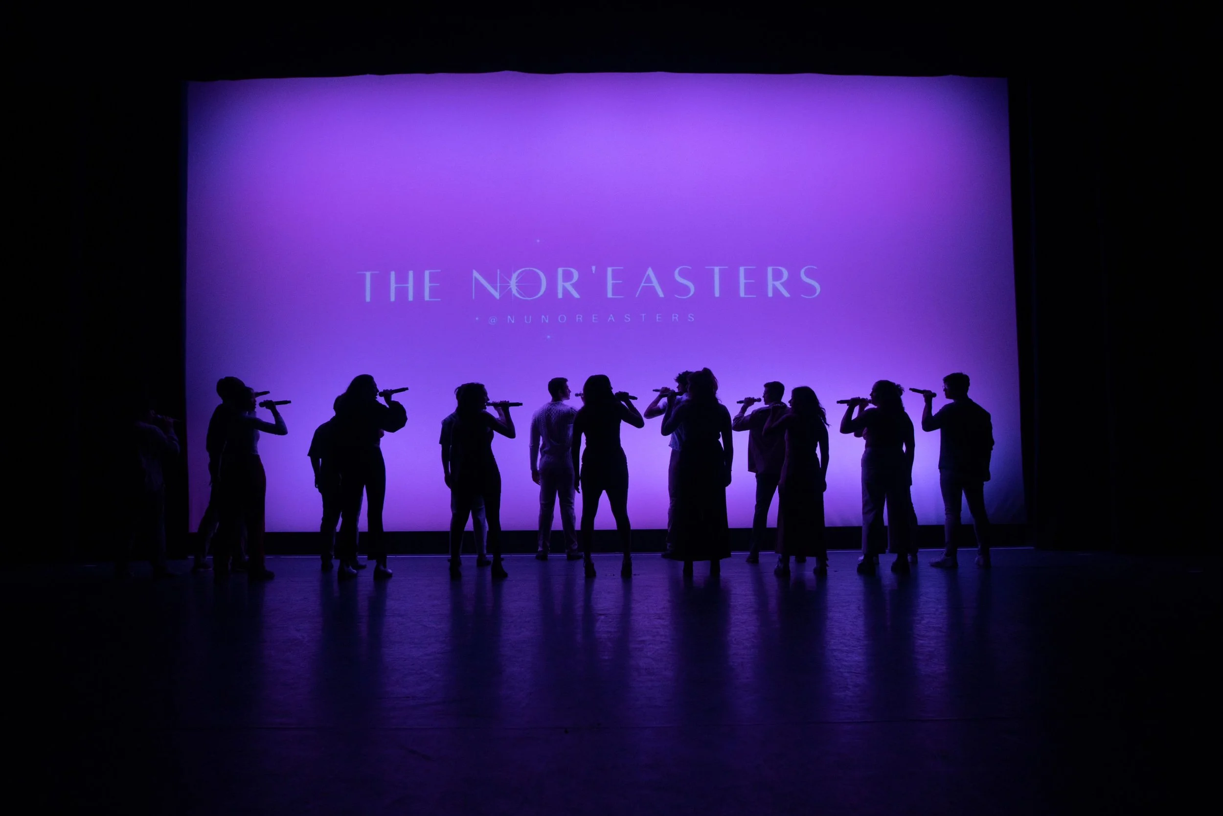 ABOUT | Book Now for Exceptional A Cappella — Nor'easters A Cappella