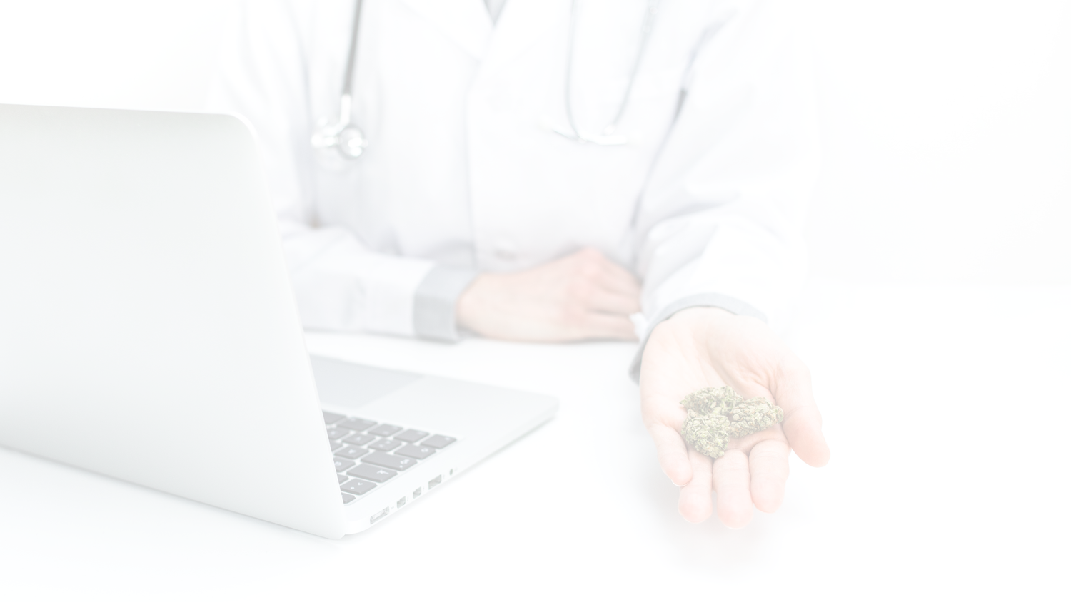 Cannabis Care Dunedin
