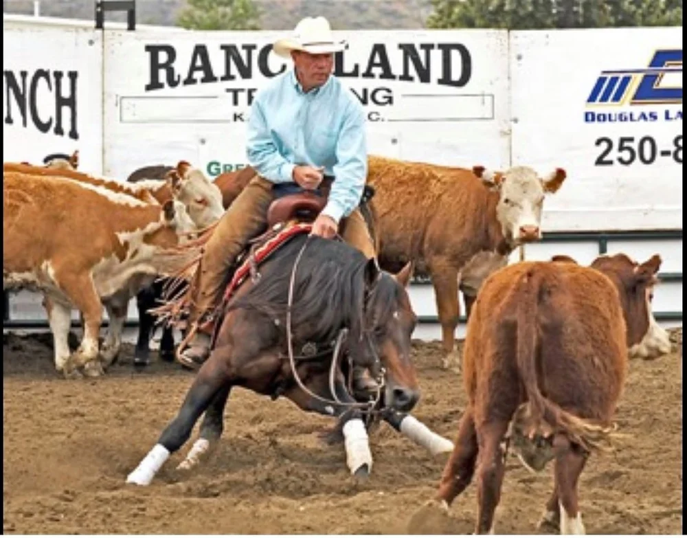 Canadian Horse Trainer Directory — ROYAL SEED SELECT HORSE SALES