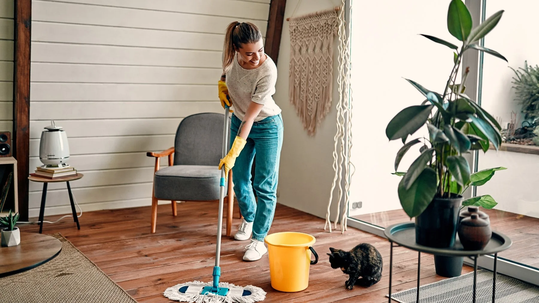 Clearing the Clutter — Life Coach Liz