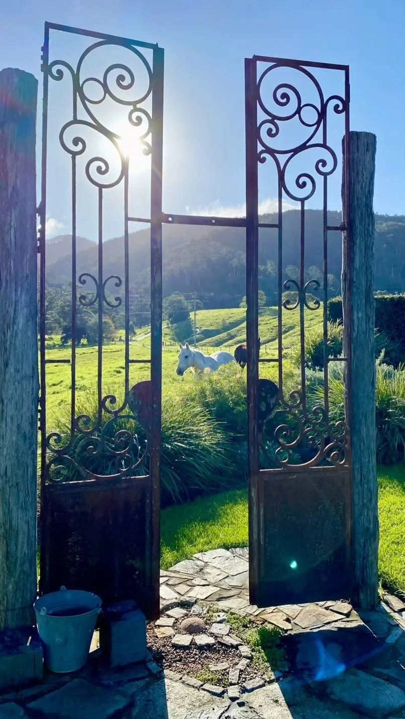 Mountain View Farm Tilba Tilba Accommodation Tilba Tilba NSW