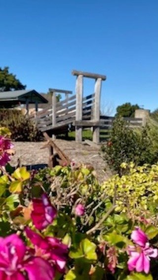Mountain View Farm Tilba Tilba Accommodation Tilba Tilba NSW