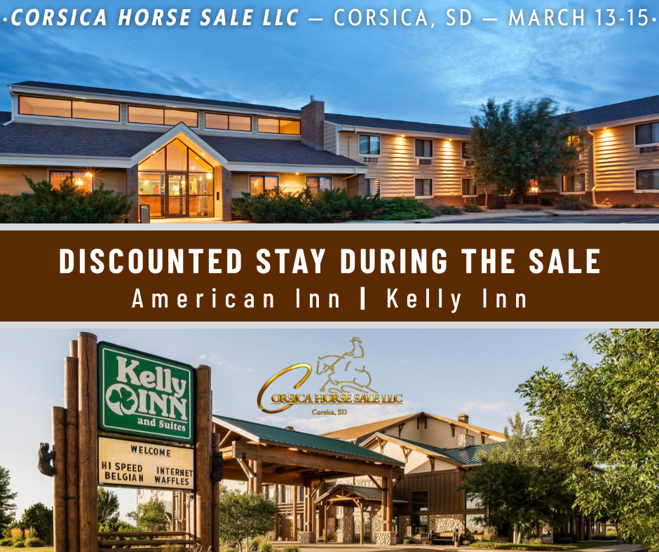 About The Corsica Horse Sale LLC — Corsica Horse Sale LLC