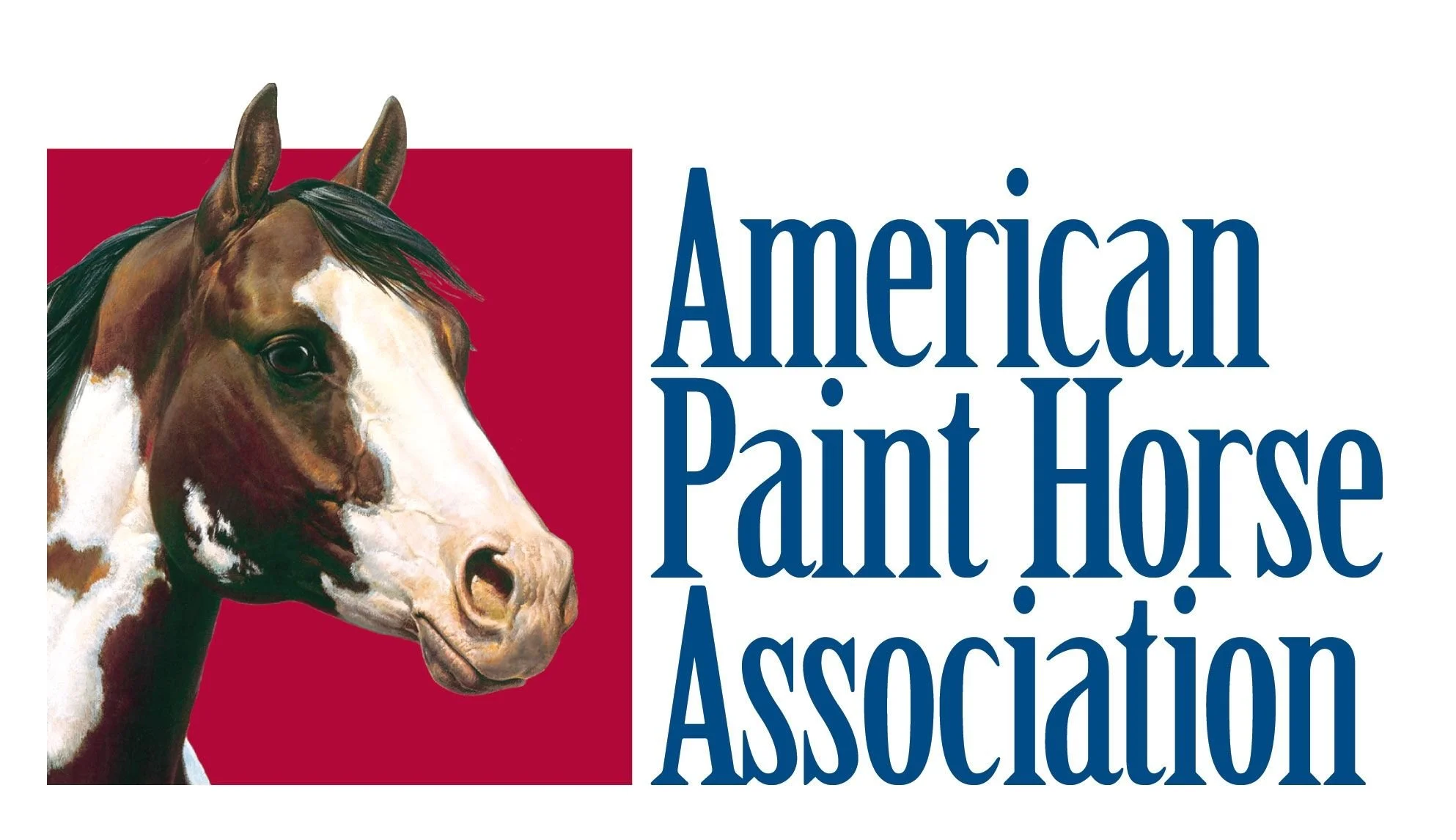 Sellers Information — Corsica Horse Sales