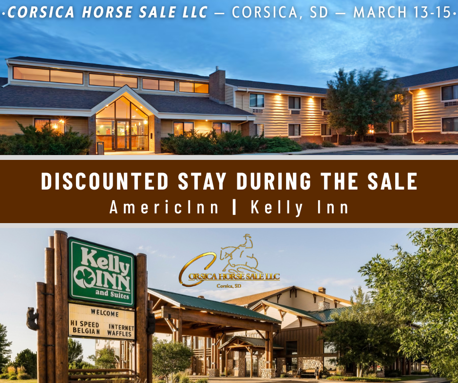 About The Corsica Horse Sale LLC — Corsica Horse Sale LLC