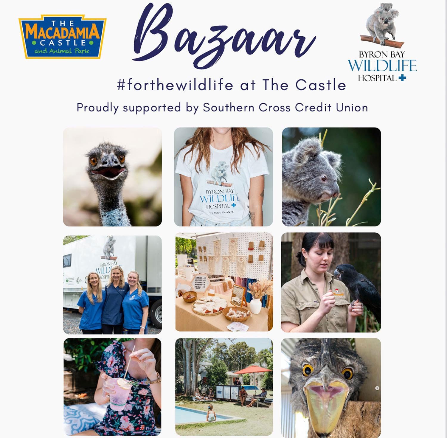 Bazaar for the Wildlife! — Byron Bay Wildlife Hospital