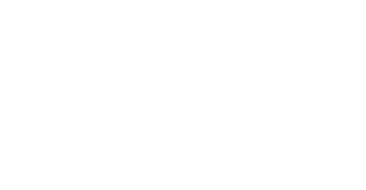 Tea Towel - Lizard — Byron Bay Wildlife Hospital