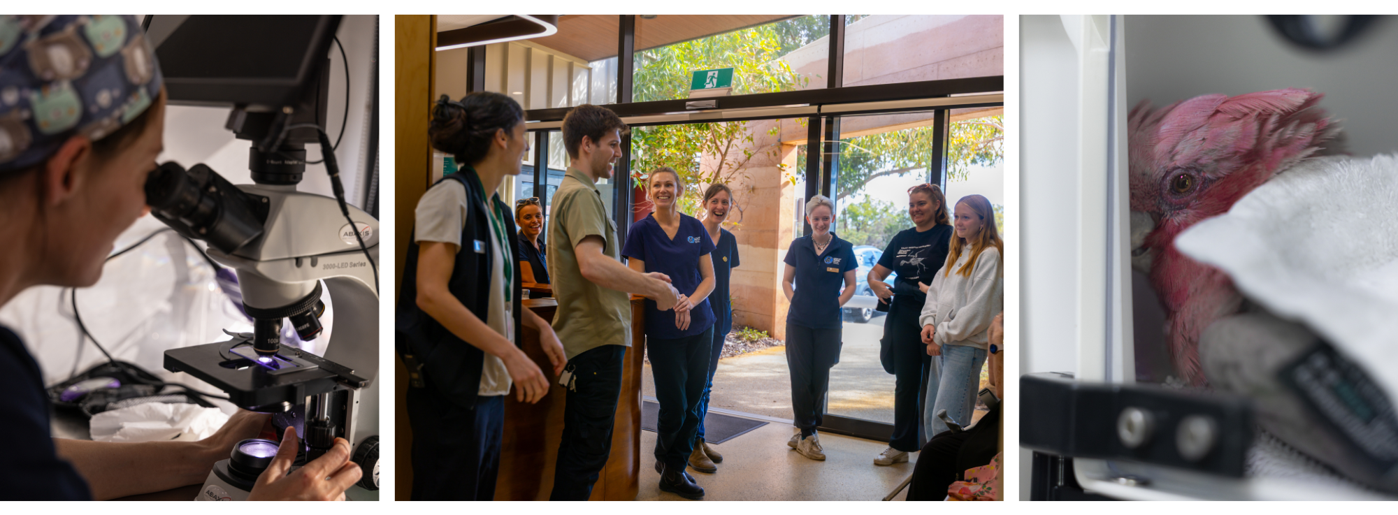 Responding to the impact of ex-Tropical Cyclone Narelle, in Exmouth ...