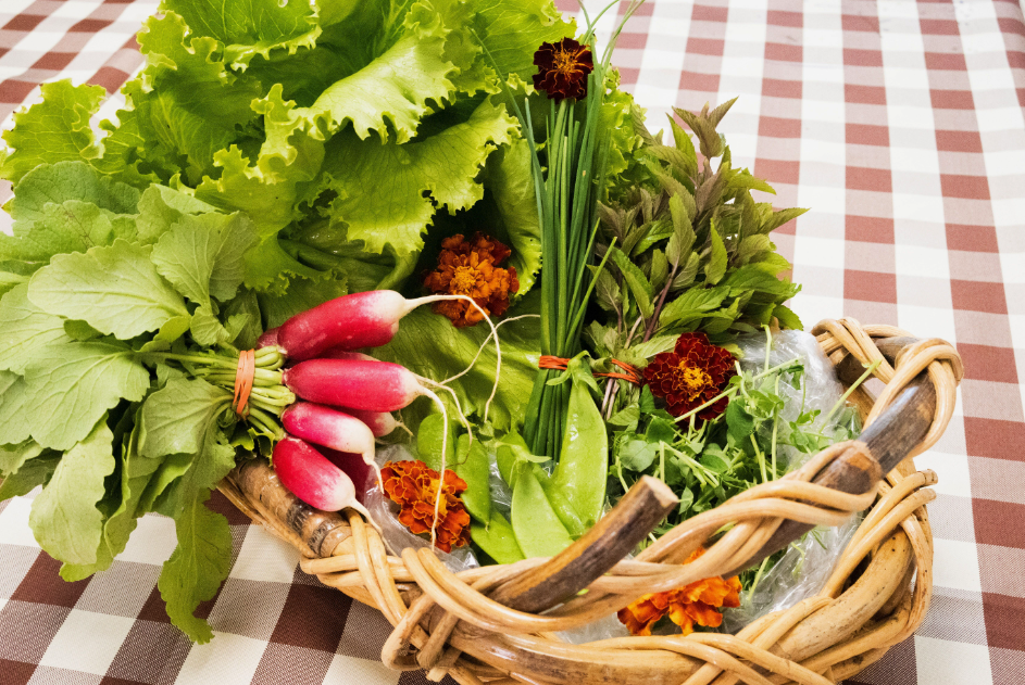 CSA Produce Subscription Box — Partridge Creek Farm