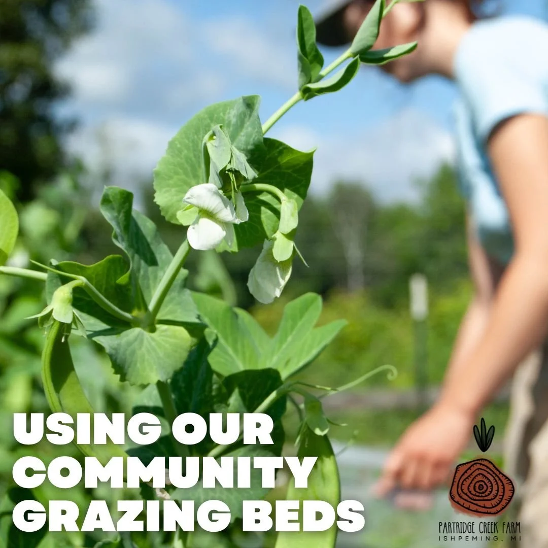 Partridge Creek Farm