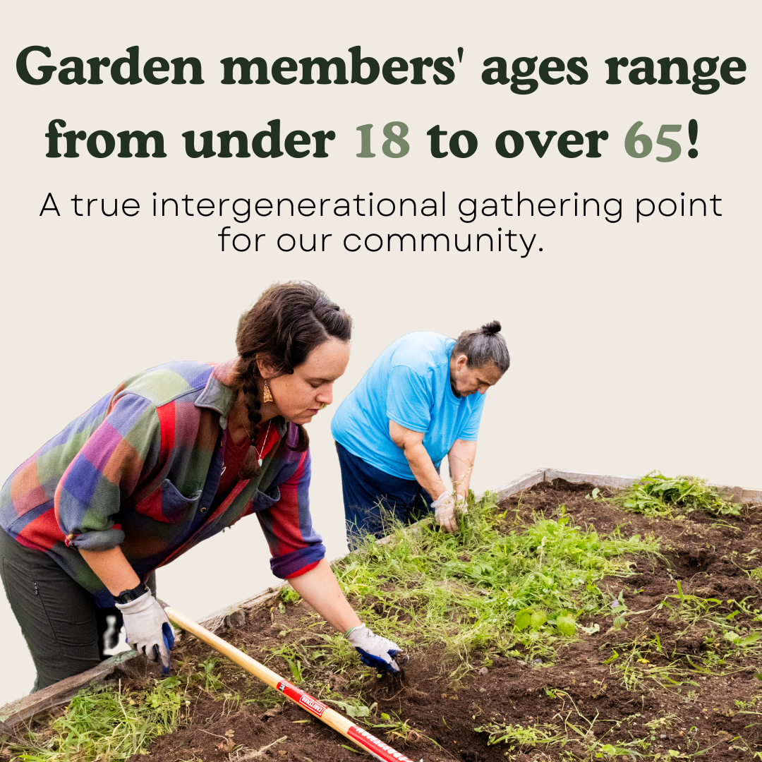 Meet Fran Community Garden Member | Giving Tuesday 2024 — Partridge ...