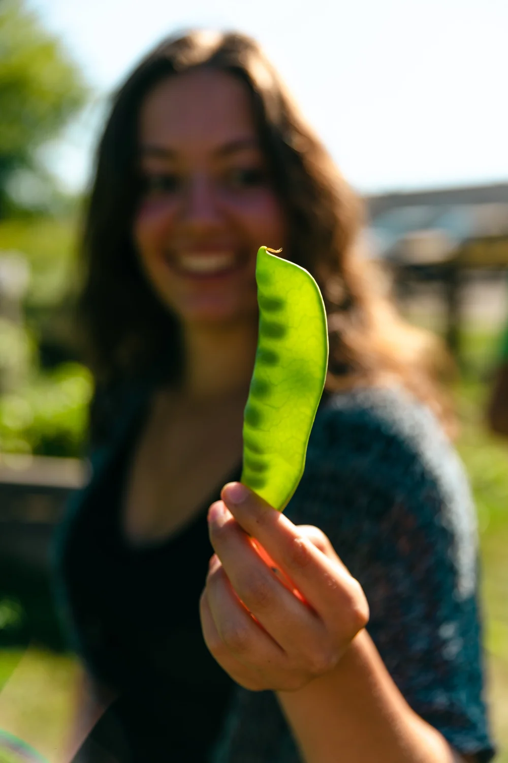 Community Gardens — Partridge Creek Farm