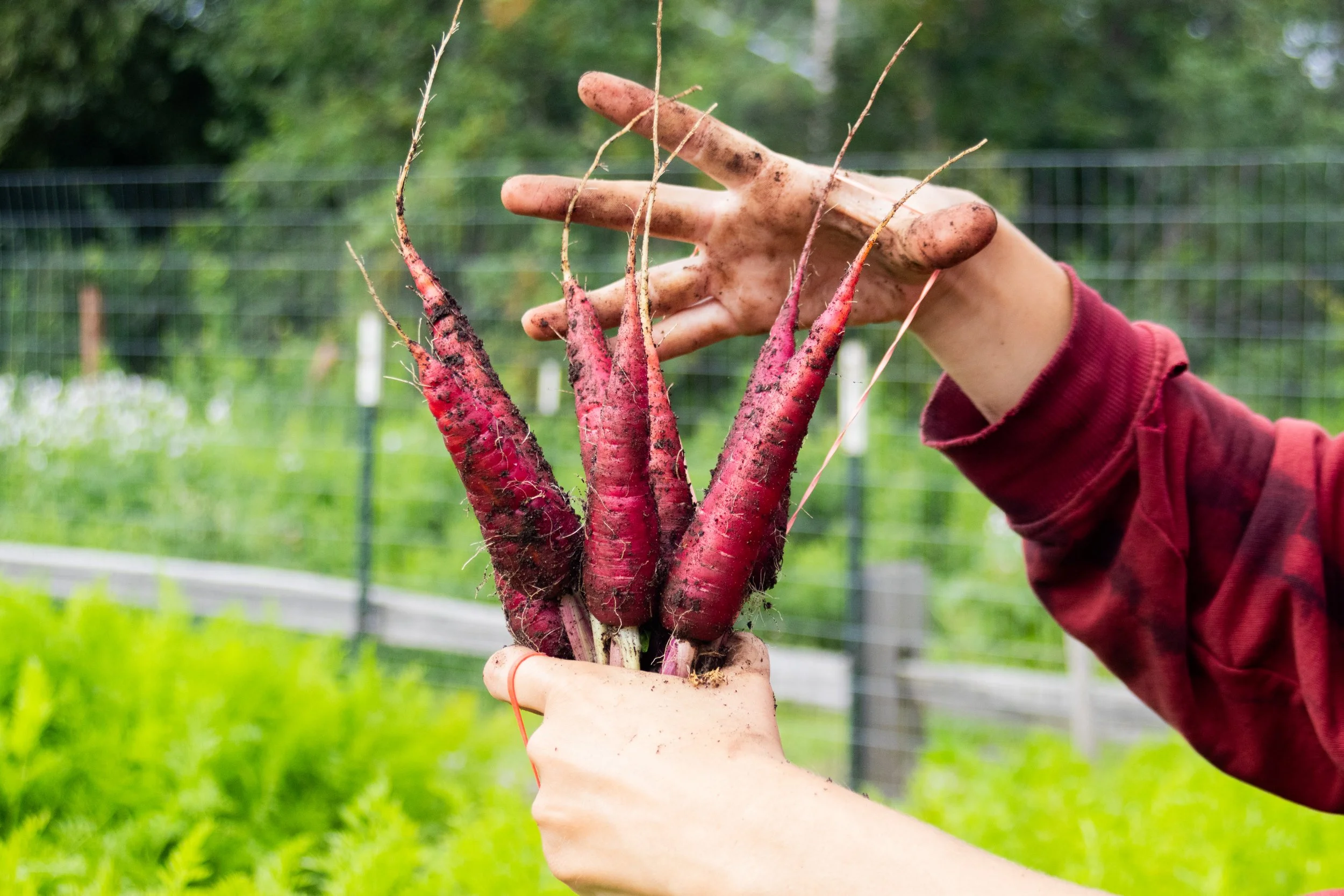 PCF Unveils Produce Cooler With Community Ribbon CuttingJun 25 ...