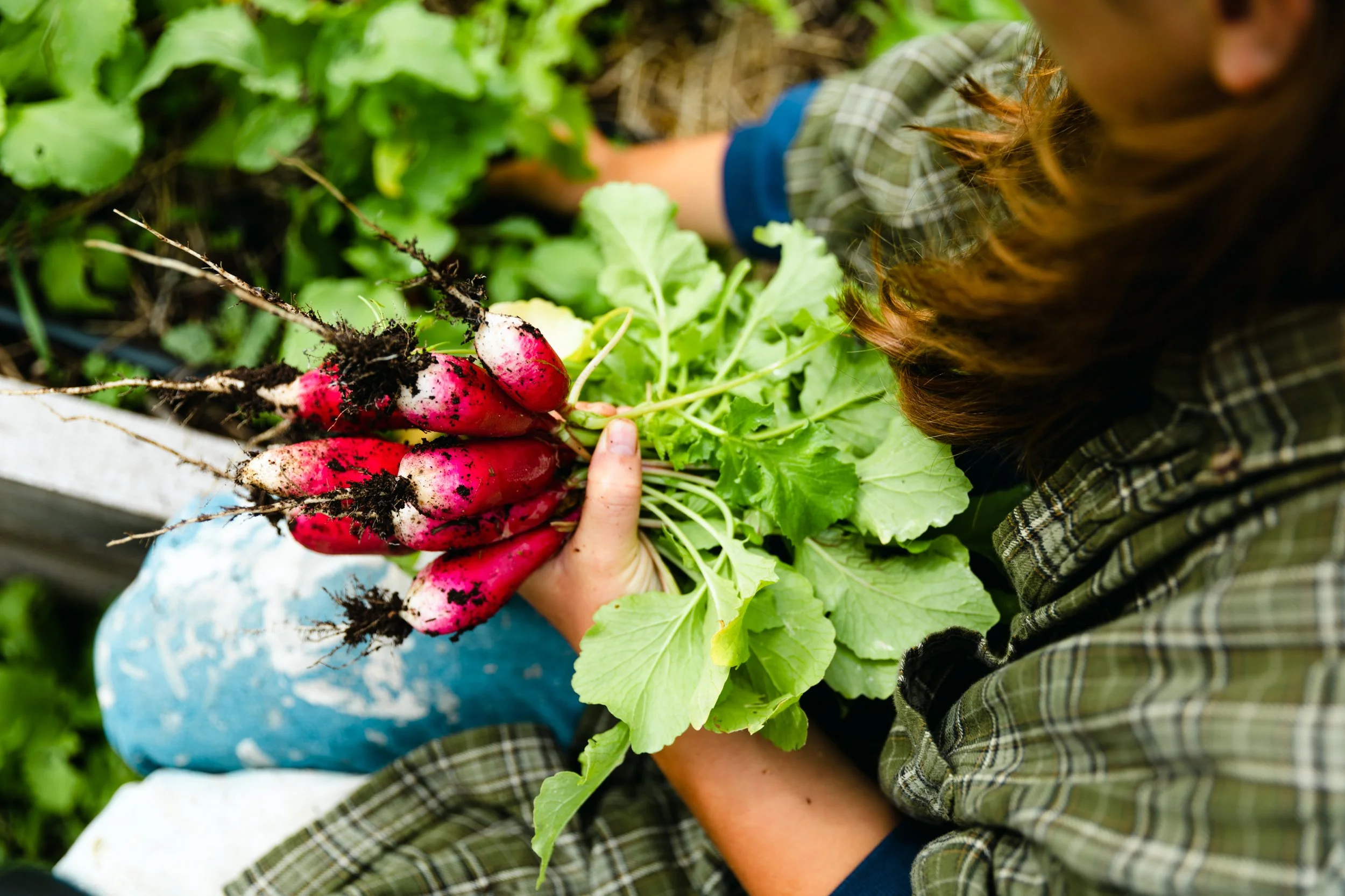 Partridge Creek Farm