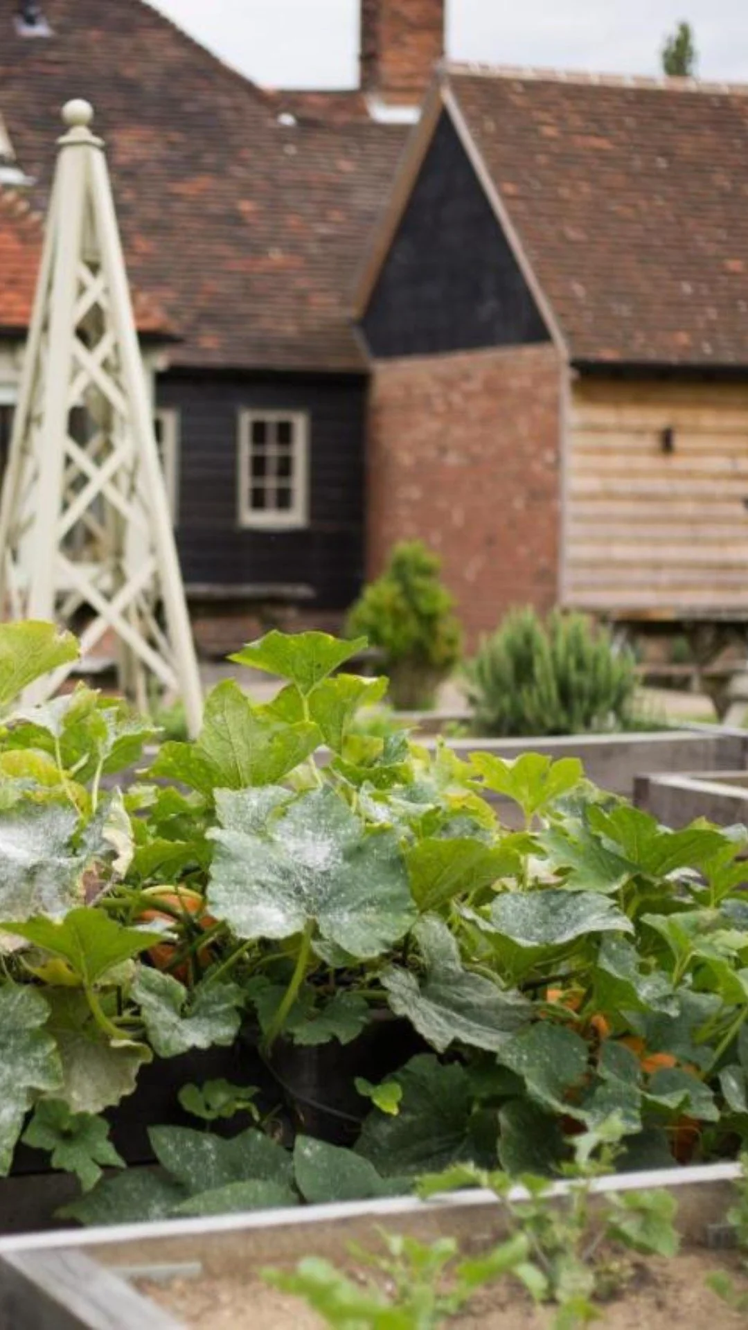 The Three Chimneys, Biddenden Kent