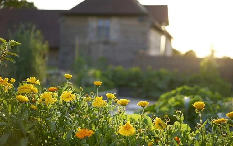 The Three Chimneys, Biddenden Kent
