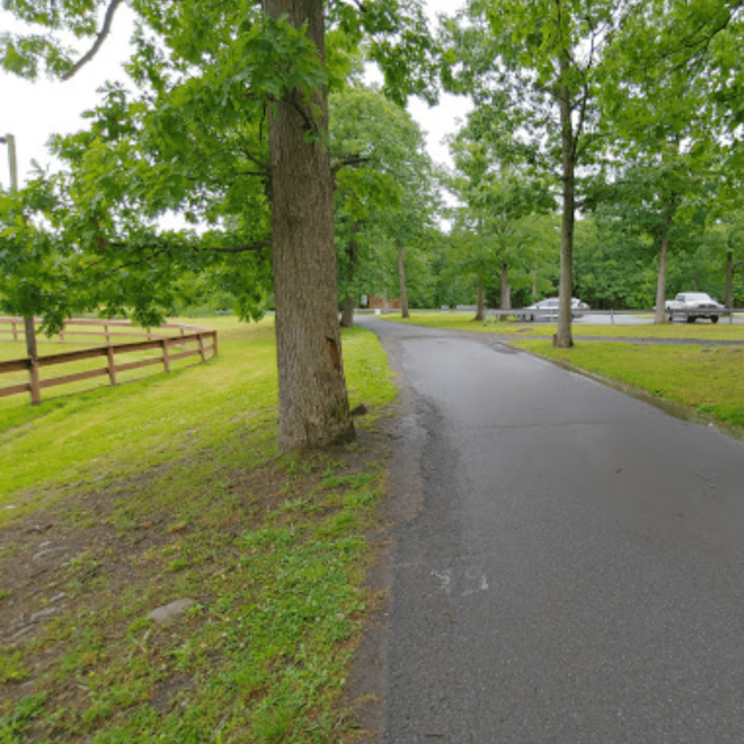 Vote Paula Kay | NY Assembly 100