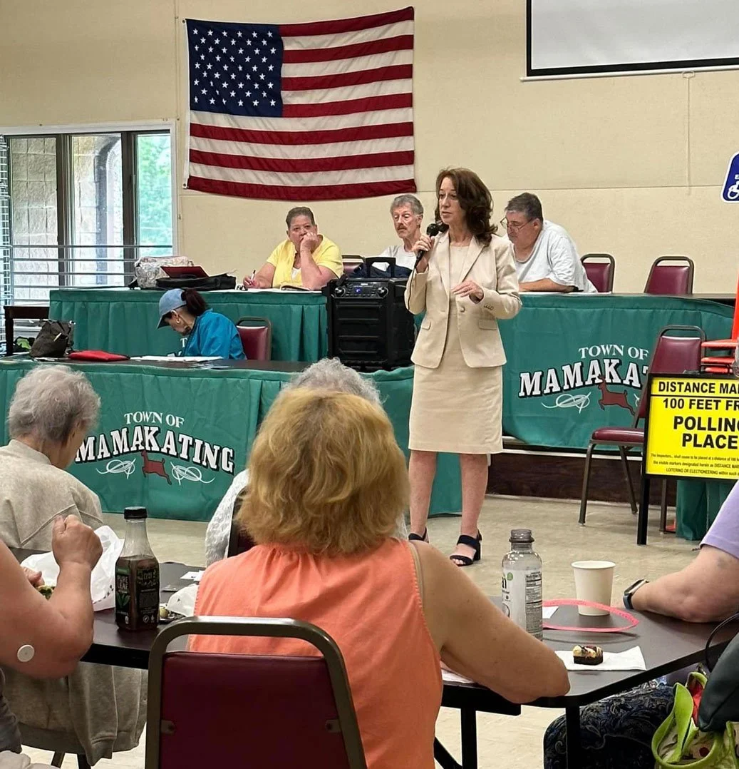 Vote Paula Kay | NY Assembly 100