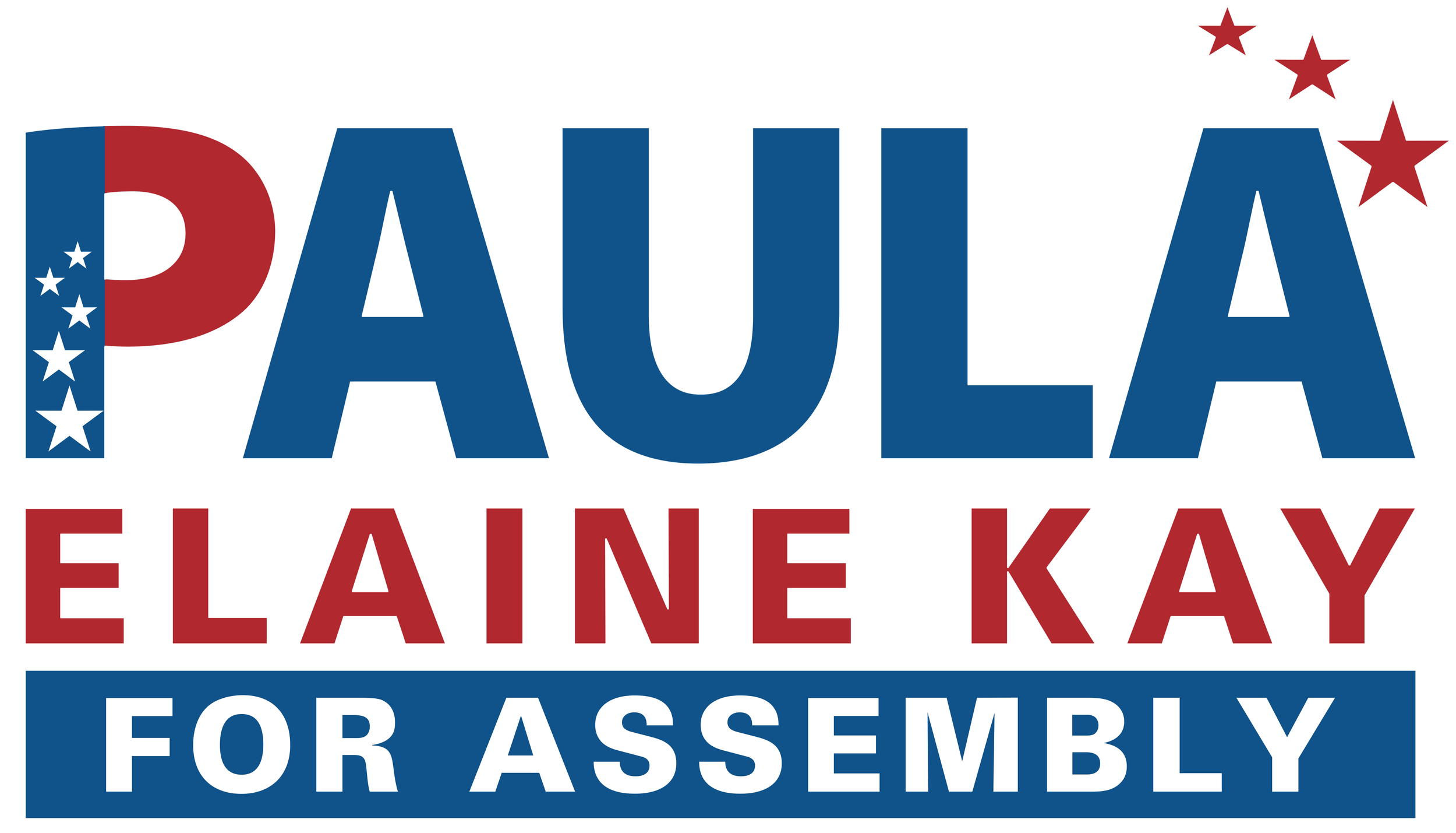 Vote Paula Kay | NY Assembly 100