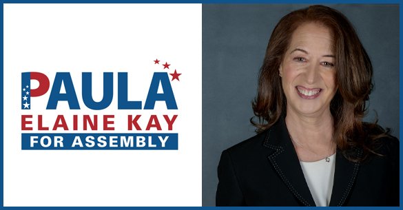 Vote Paula Kay | NY Assembly 100