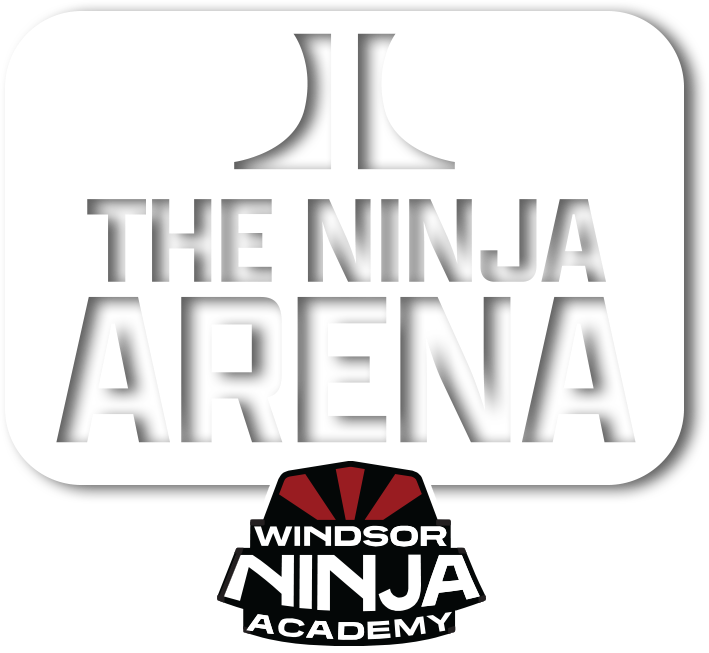 ARENA — Team Ninja Association