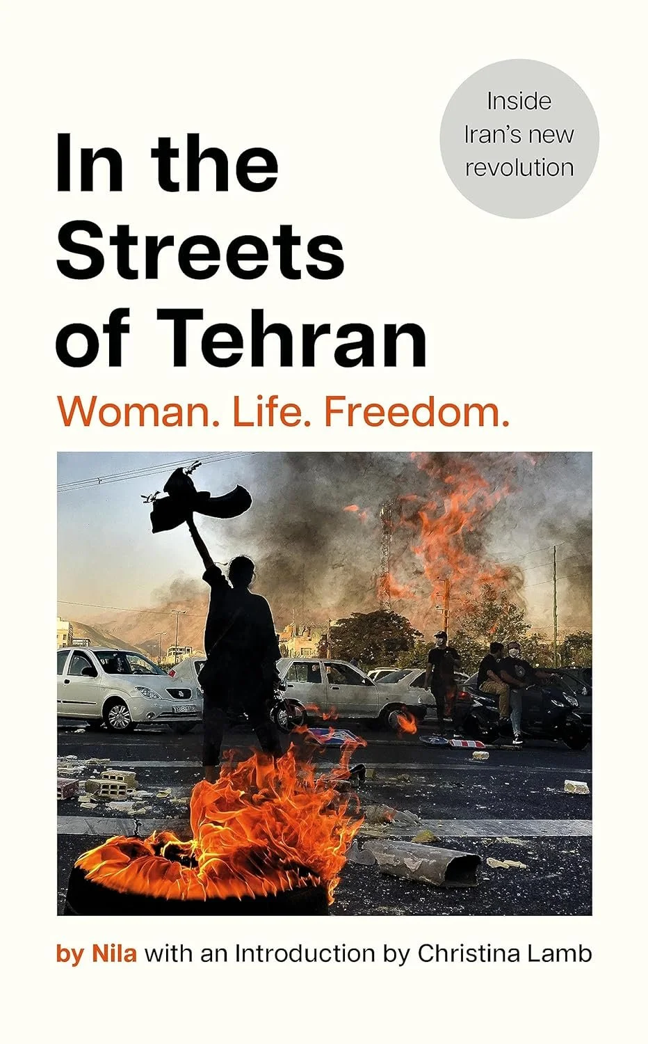 In the Streets of Tehran — poupeh missaghi