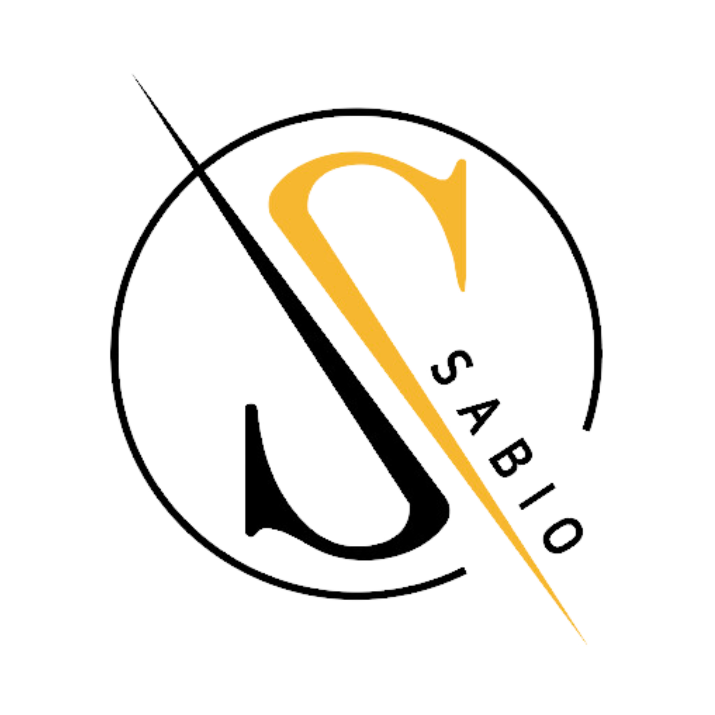 Classes — Sabio Fencing Academy